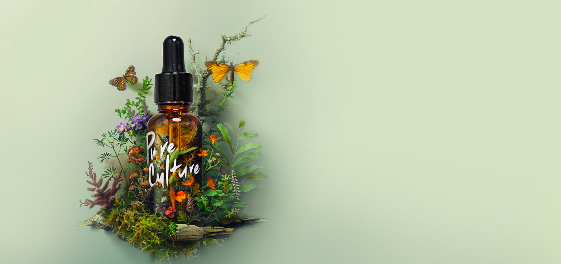 Clean Beauty for Every Body | Organic Skincare Ph | Pure Culture